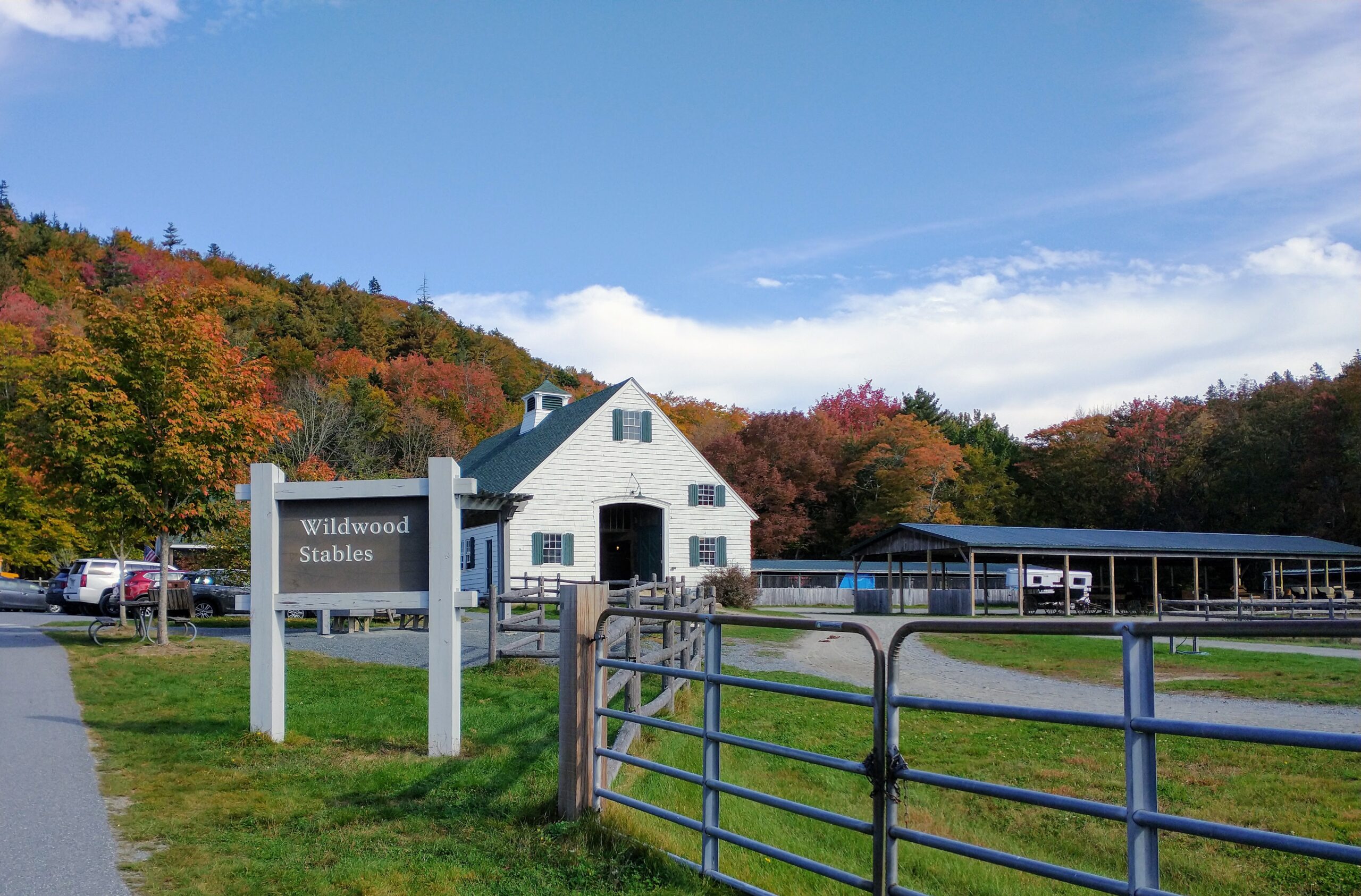 Visiting Acadia National Park on Horseback - Laura Holt-Haslam, author